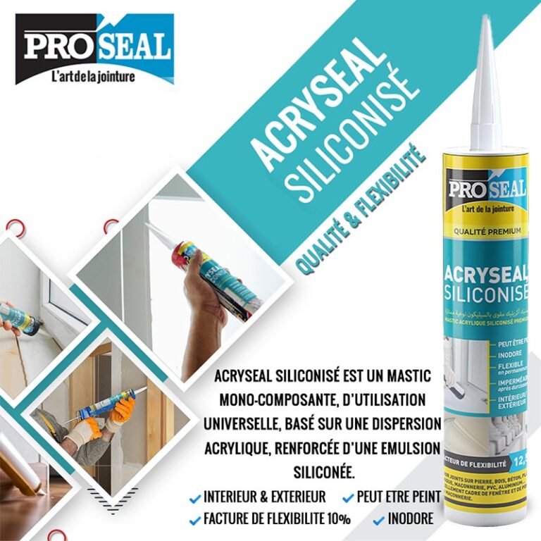 Proseal ACRYSEAL SILICONISÉ 500gr - Bricaillerie